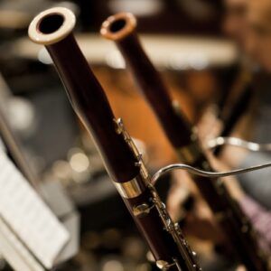 Bassoon - Jackson Symphony Orchestra