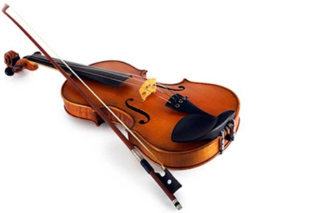 jso-web-musicians-viola - Jackson Symphony Orchestra